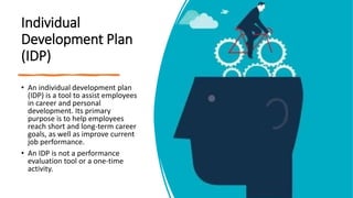 Developing Individual Development Plans (IDP) | PDF