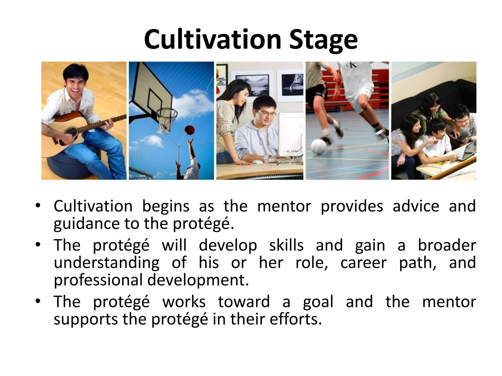 Developing mentoring program | PDF