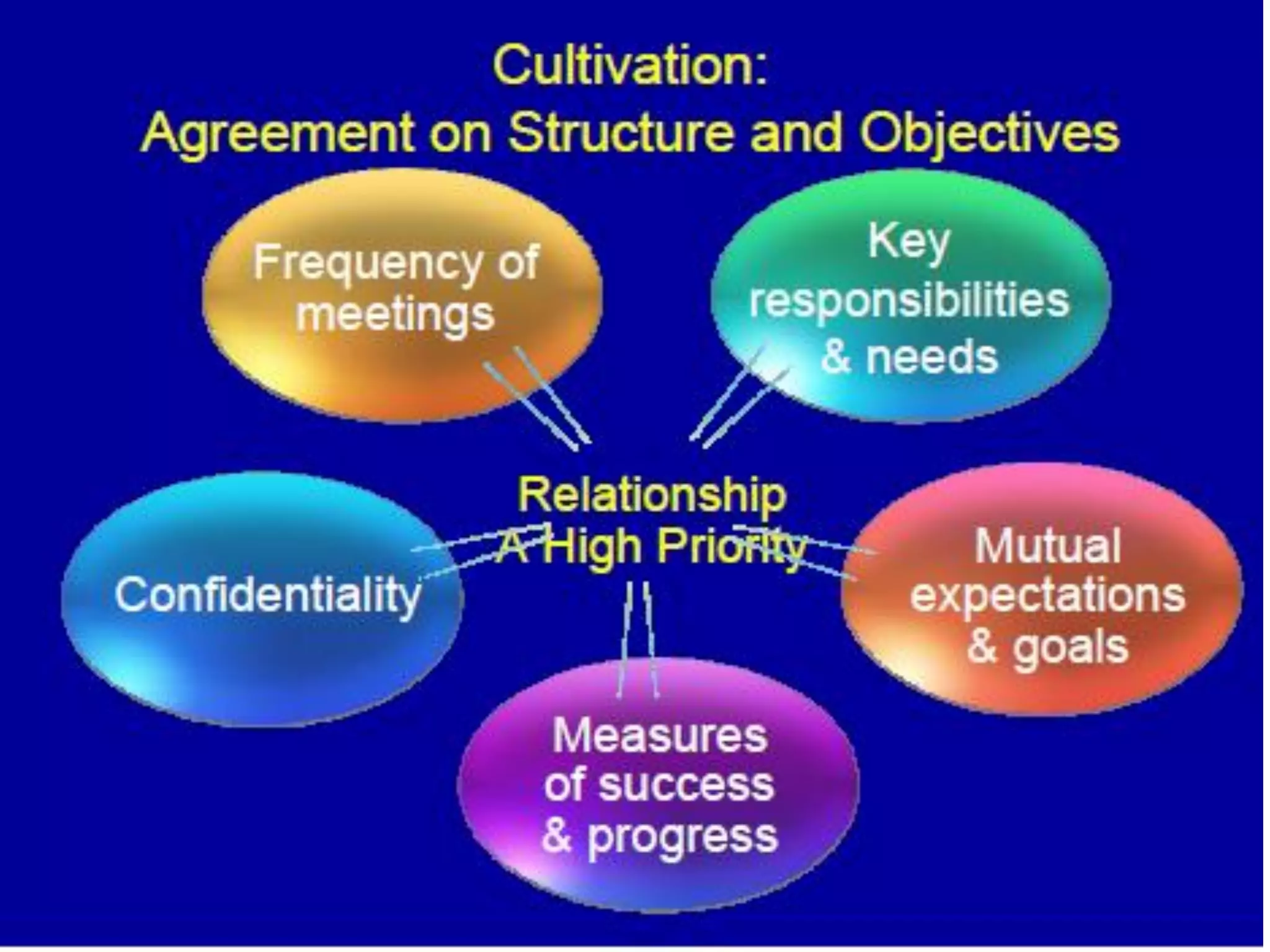 Developing mentoring program | PDF