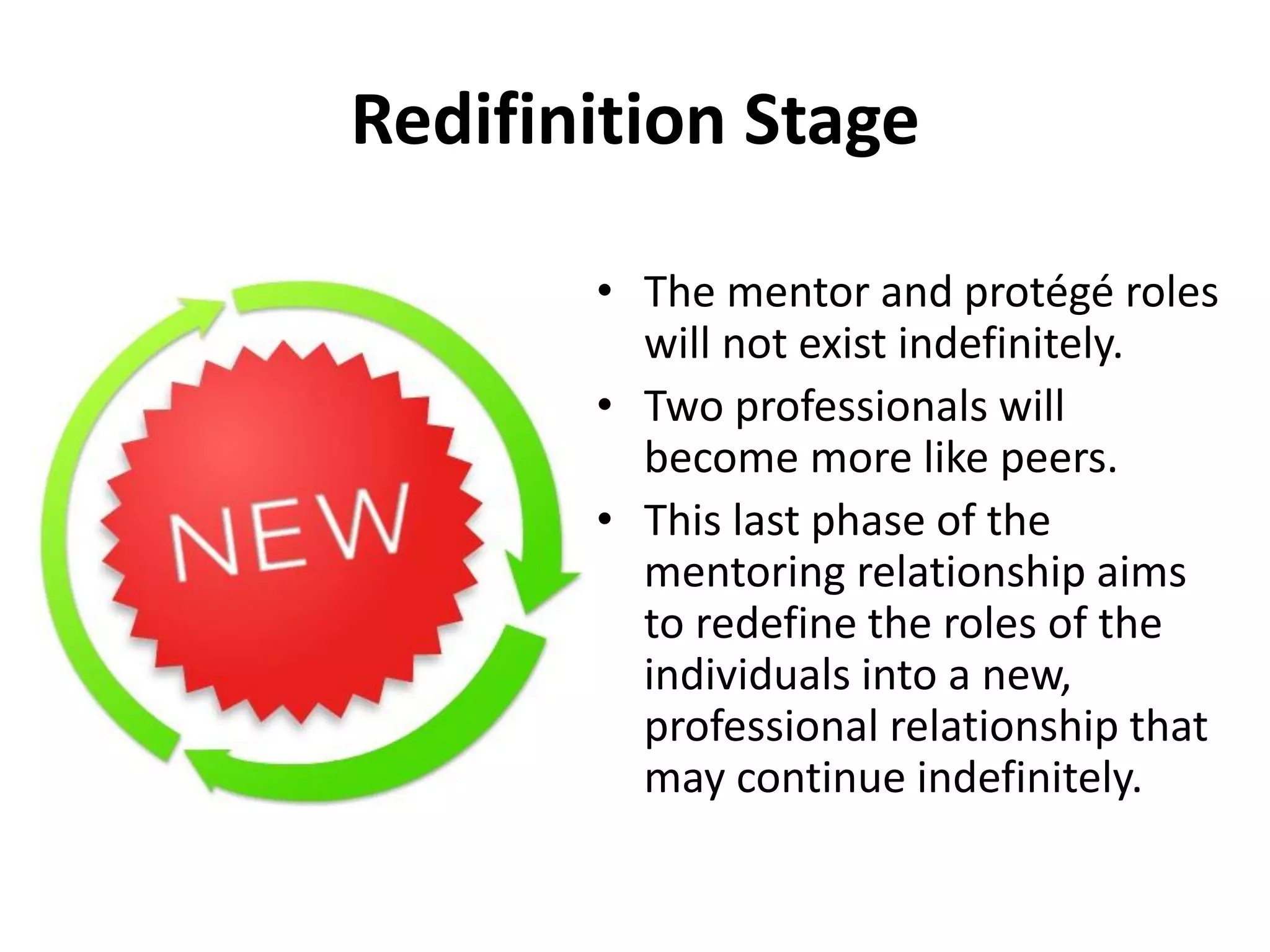 Developing mentoring program | PDF