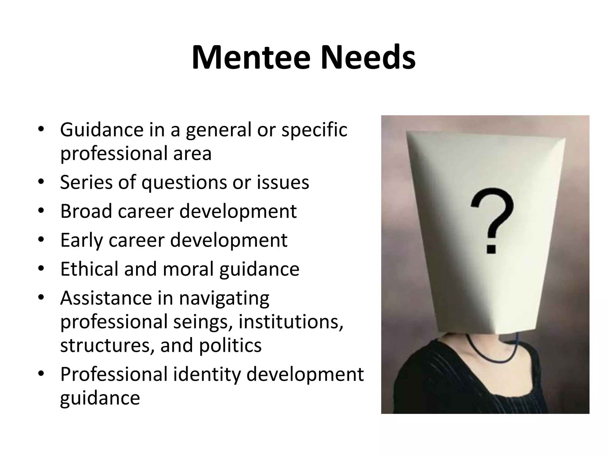 Developing mentoring program | PDF