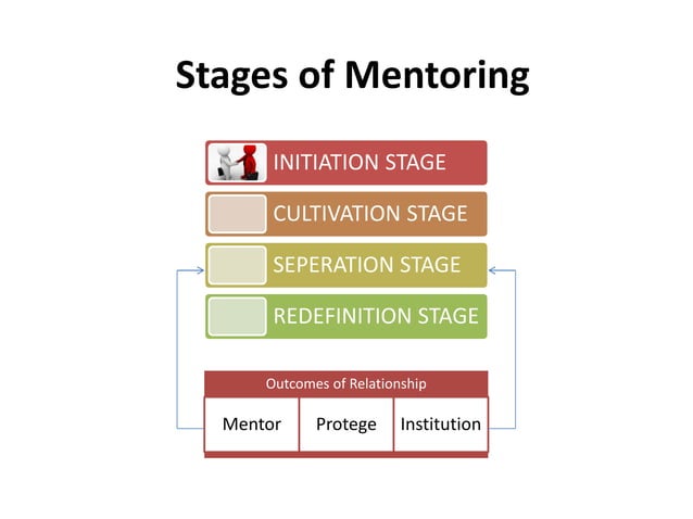 Developing mentoring program | PDF | Physical Therapy | Wellness