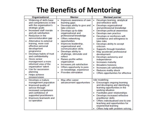 Developing mentoring program | PDF | Physical Therapy | Wellness