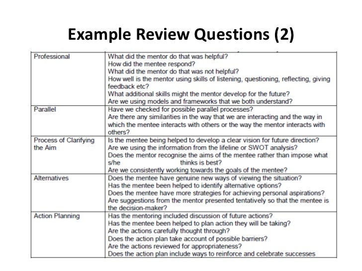 Developing mentoring program