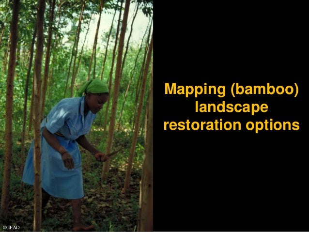 eDeveloping national (bamboo) landscape restoration potential maps in…