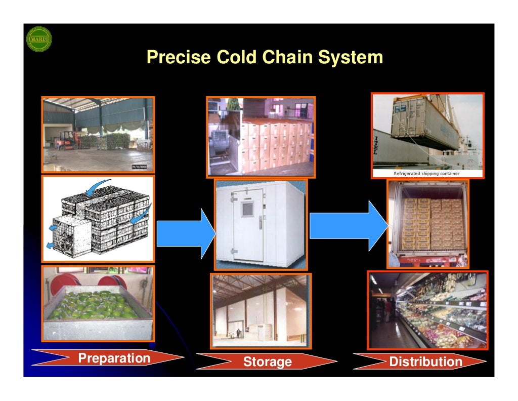 Developing Precision Cold Chain Systems for Tropical Fruits