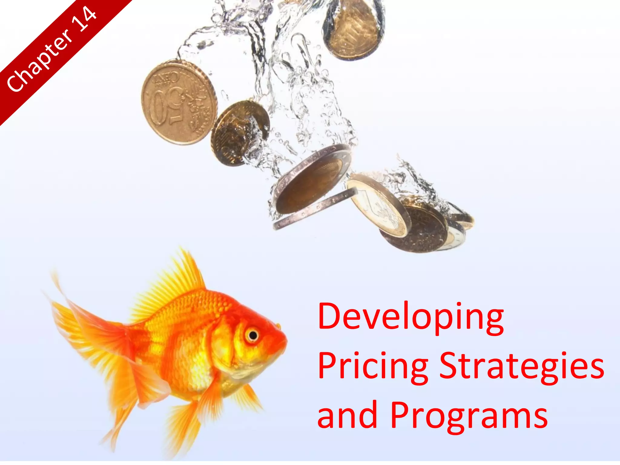 Developing pricing strategies and programs | PPT