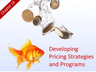 Developing pricing strategies and programs | PPT