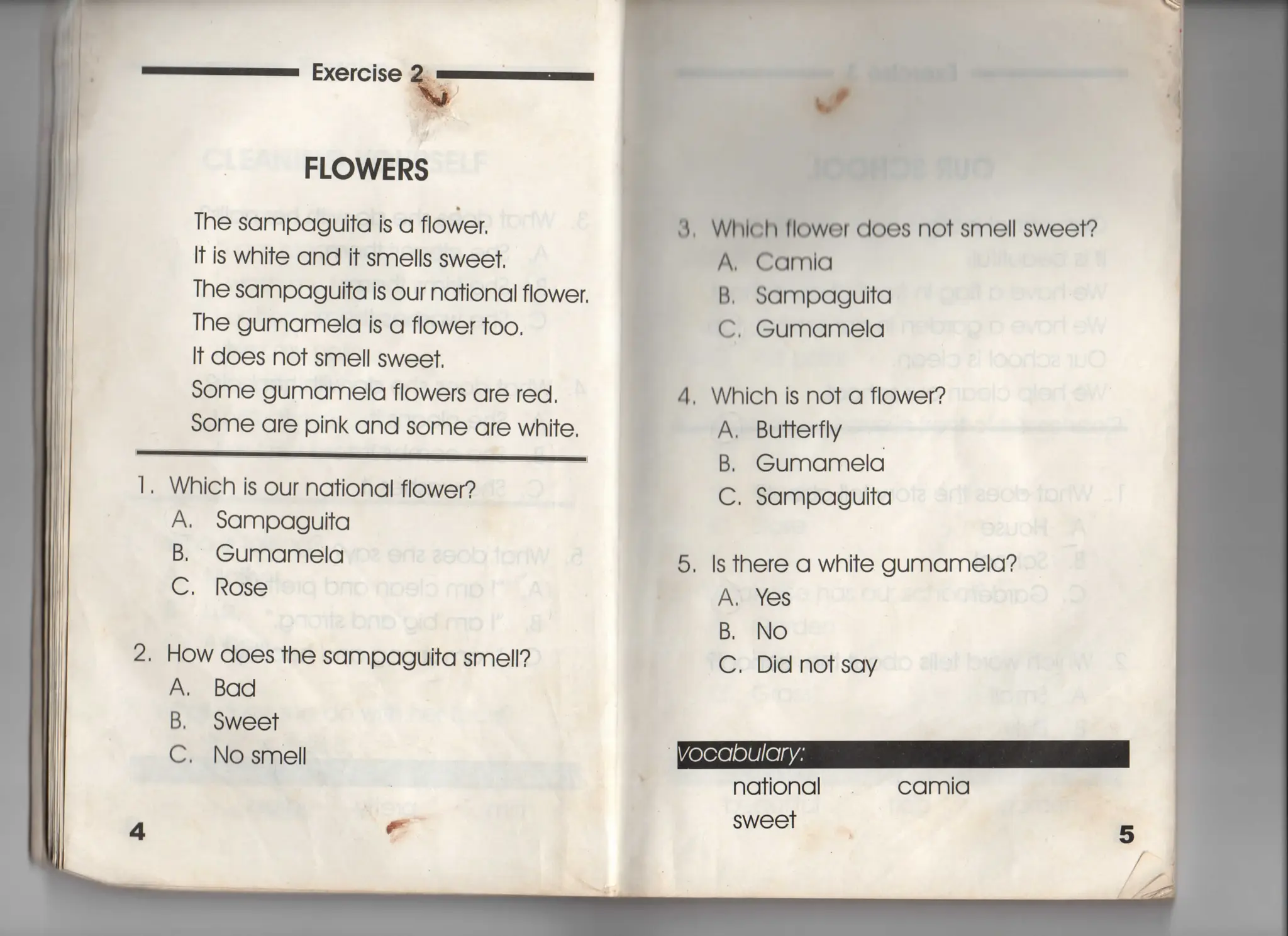 Developing Reading Power 1, a Supplemental Reading Material for Grade 1 ...