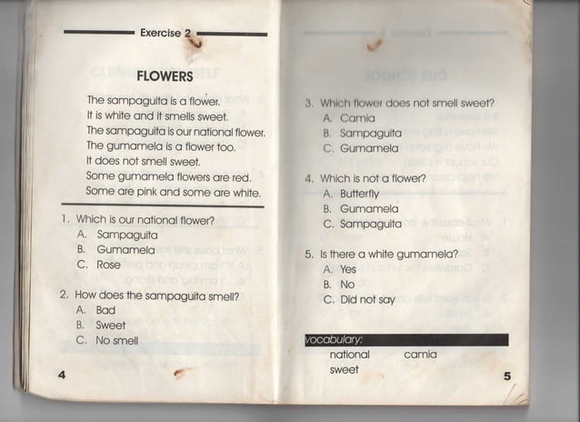 Developing Reading Power 1, a Supplemental Reading Material for Grade 1 ...