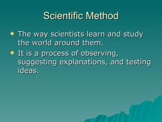 Developing Scientific Explanations | PPT | Science