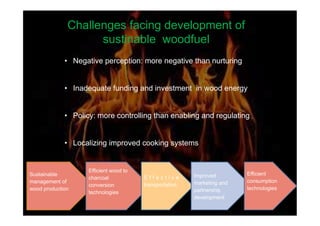 Developing sustainable wood fuel cooking systems | PDF