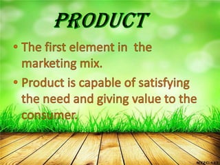 Developing the marketing mix | PDF