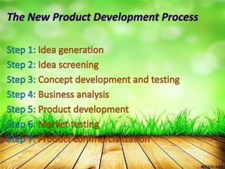 Developing the marketing mix | PDF