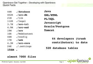 Developing With Openbravo Rl Eppt | POT