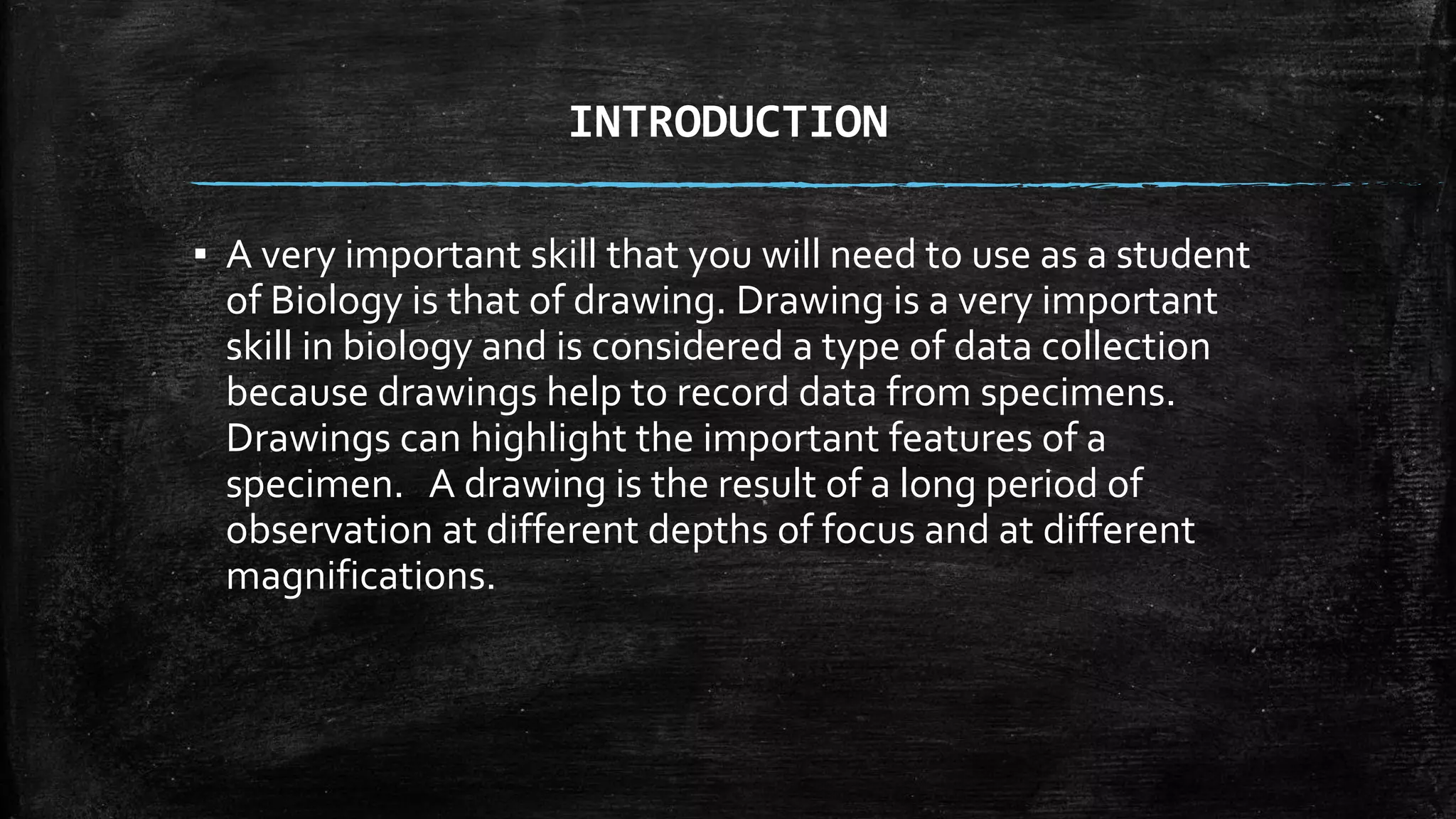 Developing your drawing skills | PDF | Drawing and Sketching | Arts and ...