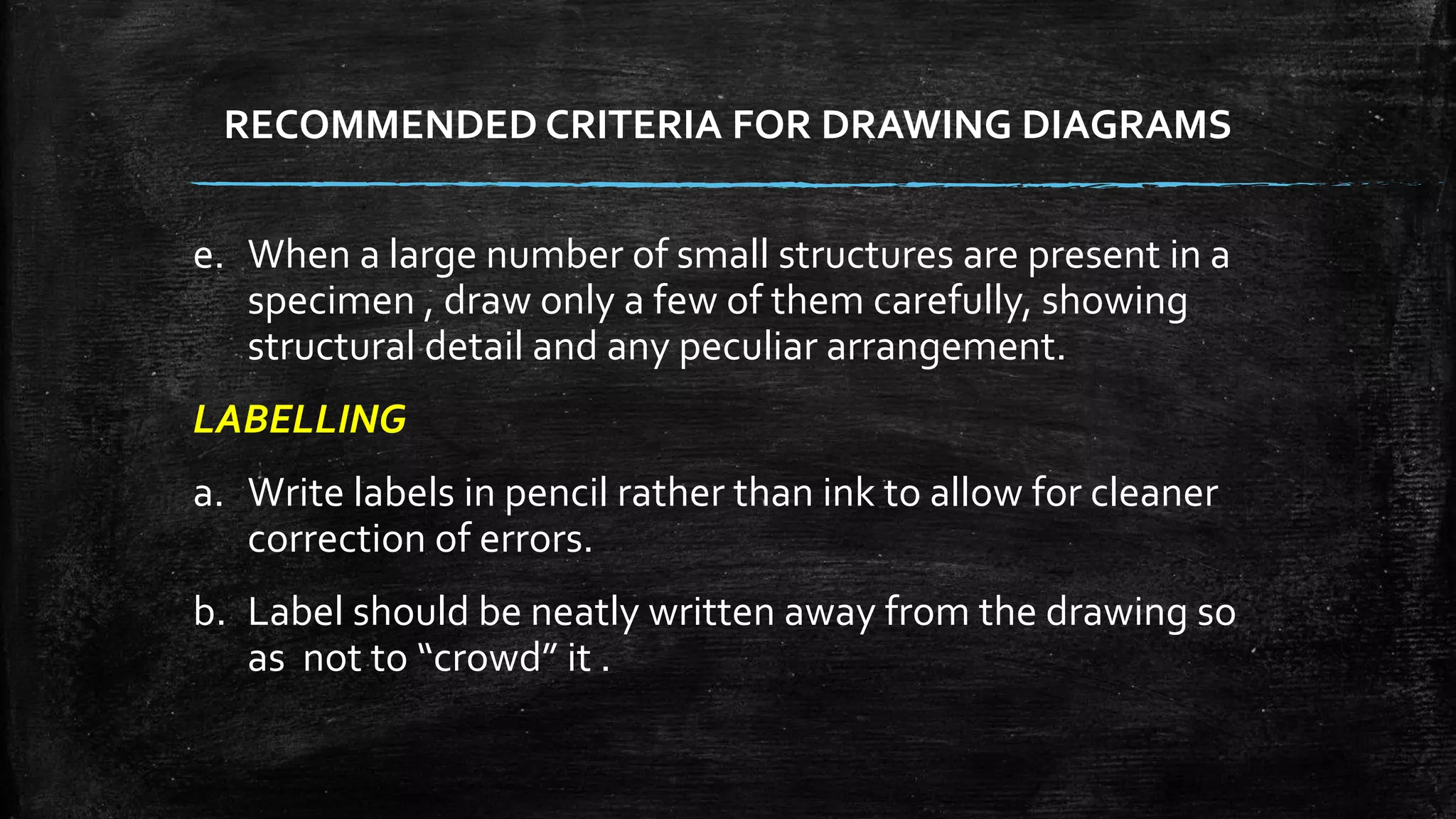 Developing your drawing skills | PDF | Drawing and Sketching | Arts and ...