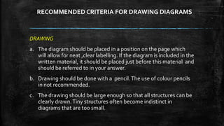 Developing your drawing skills | PDF | Drawing and Sketching | Arts and ...