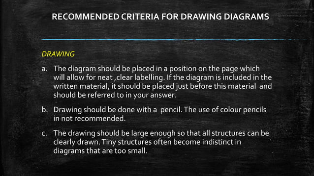 Developing your drawing skills | PDF | Drawing and Sketching | Arts and ...