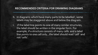 Developing your drawing skills | PDF | Drawing and Sketching | Arts and ...