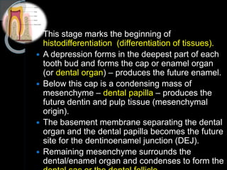 Development of Dentition AND Anomalies | PPTX