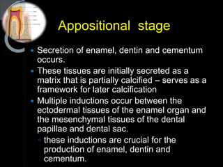 Development of Dentition AND Anomalies | PPTX