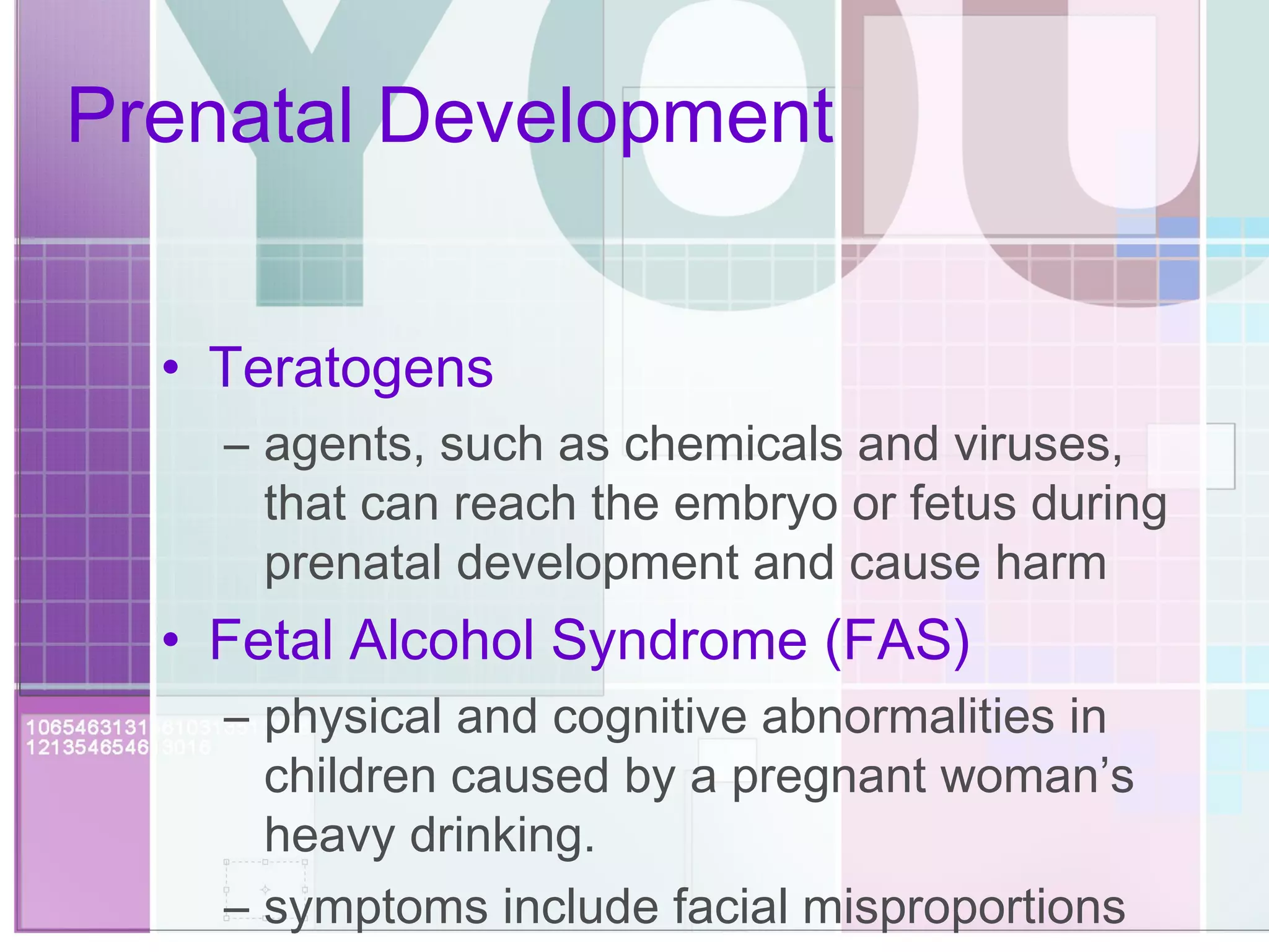 Development | PPT