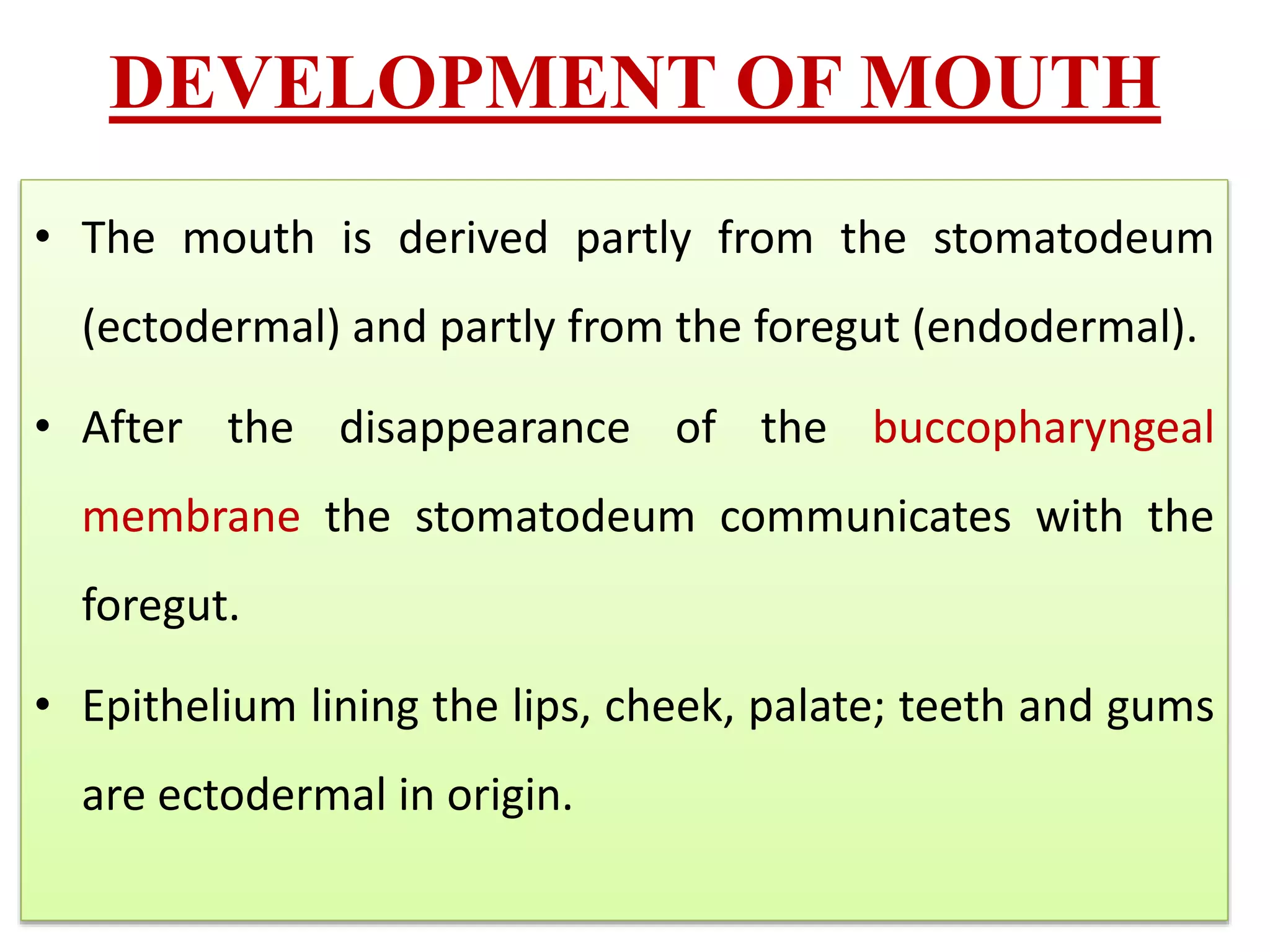 Development of face, palate and jaw | PPTX