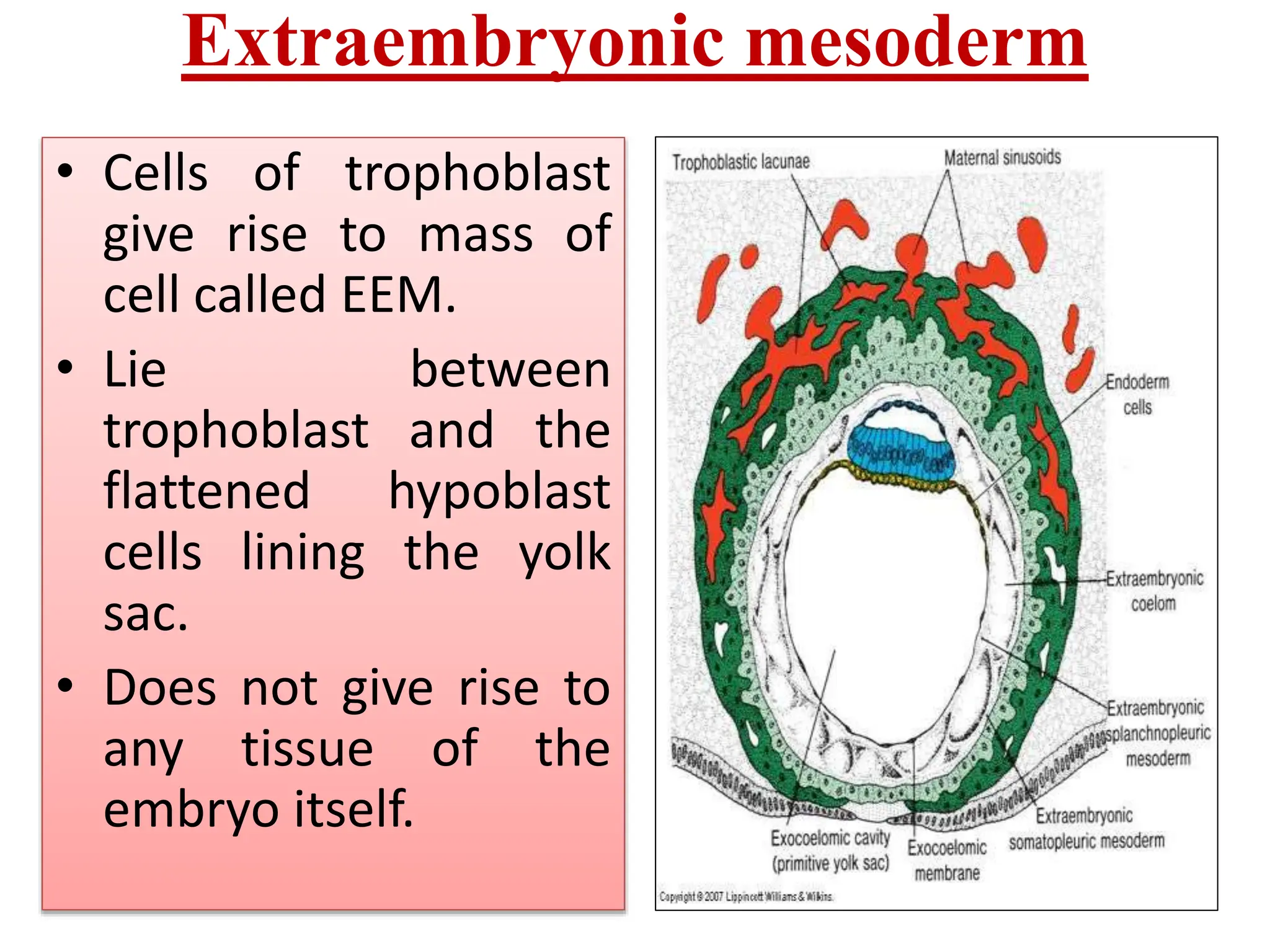 development-150618092113-lva1-app6892 (1).pptx