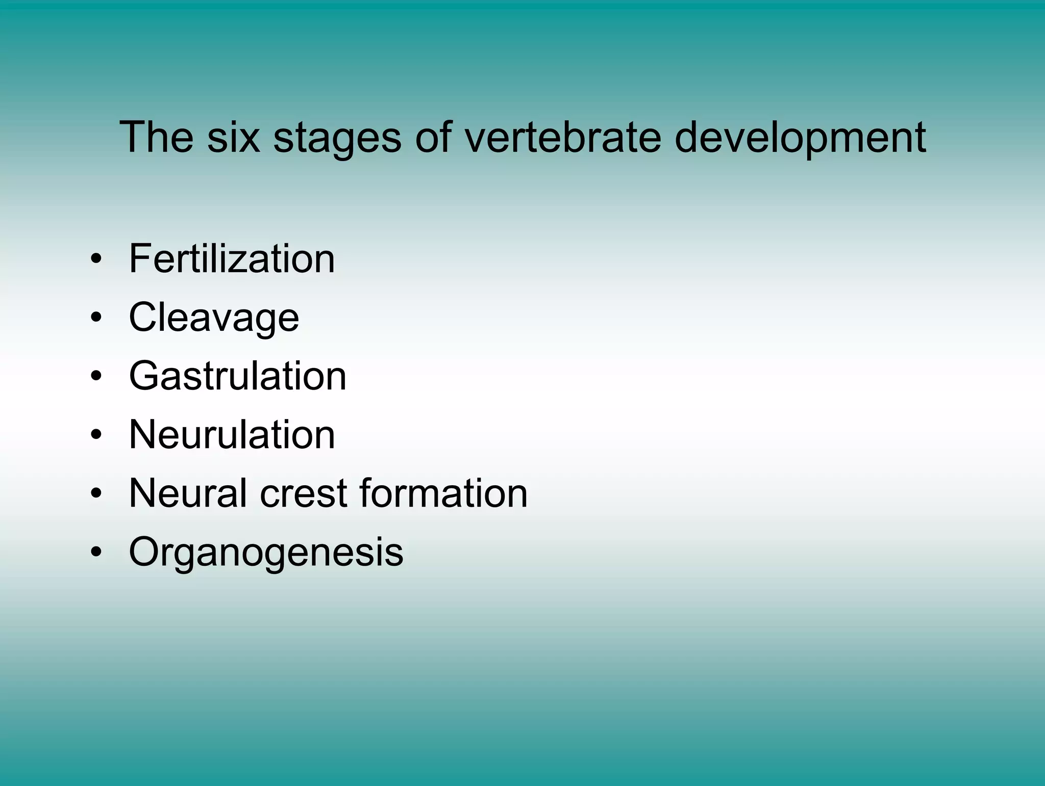 Vertebrate Development | PPT