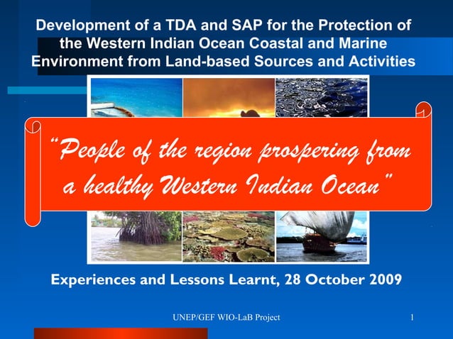 Development of a TDA and SAP for the Protection of the Western Indian Ocean Coastal and Marine ...