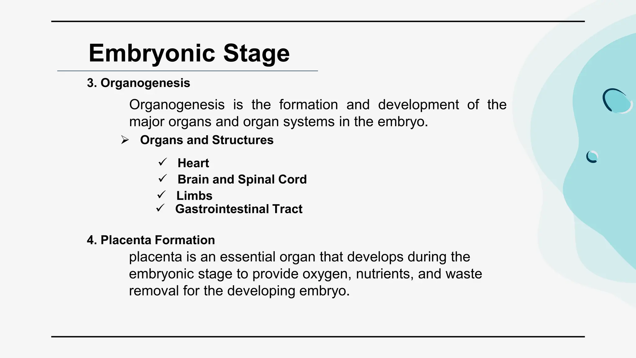THE DEVELOPMENT OF FETUS HOW DOES FETUS DEVELOP? | PPTX