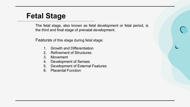 THE DEVELOPMENT OF FETUS HOW DOES FETUS DEVELOP? | PPT