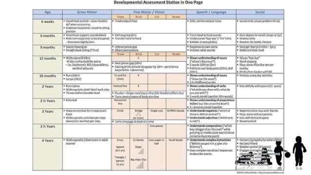 Pediatric Developmental Assessment