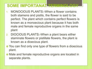 Developmental.ppt
