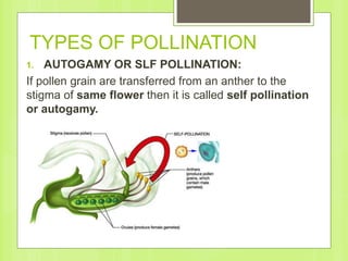 Developmental.ppt