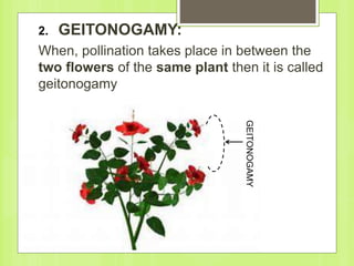 Developmental.ppt