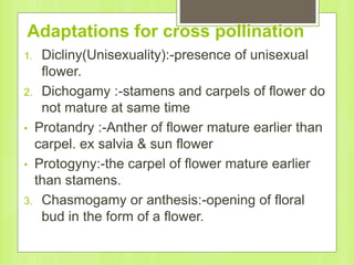 Developmental.ppt | Beekeeping | Hobbies & Interests