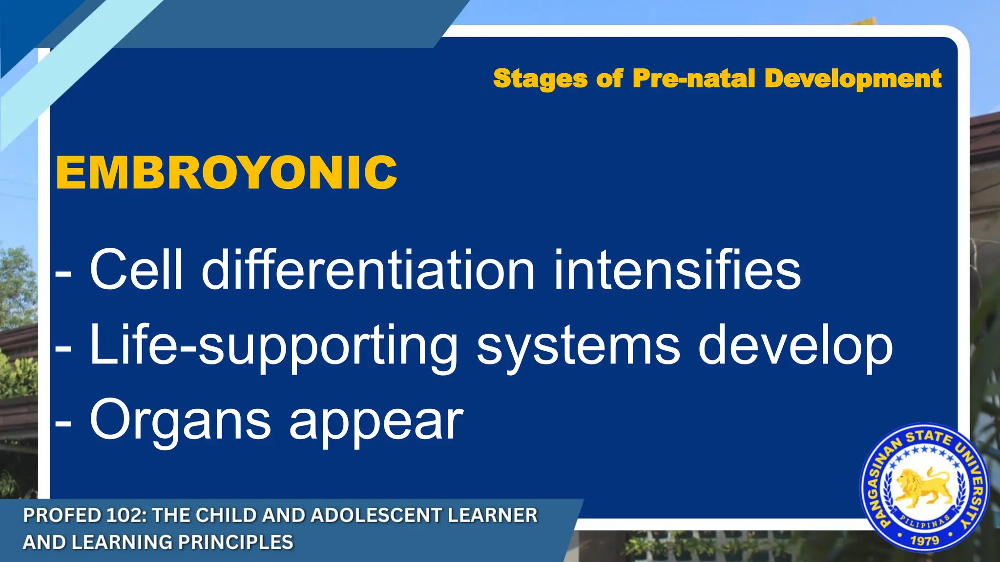 DEVELOPMENTAL-THEORIES-INFANCY-TODDLERHOOD-AND-EARLY-CHILDHOOD.pptx.pdf