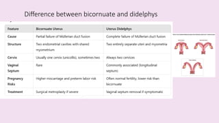 Developmental abnormalities of structures of female reproductive system ...