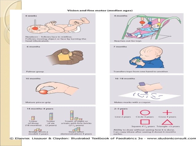 Developmental and behavioral pediatrics | PPT | Parenting Babies and ...