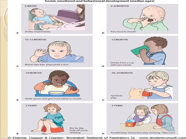 Developmental and behavioral pediatrics | PPT | Parenting Babies and ...