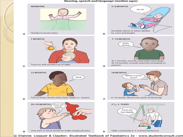 Developmental and behavioral pediatrics | PPT | Parenting Babies and ...