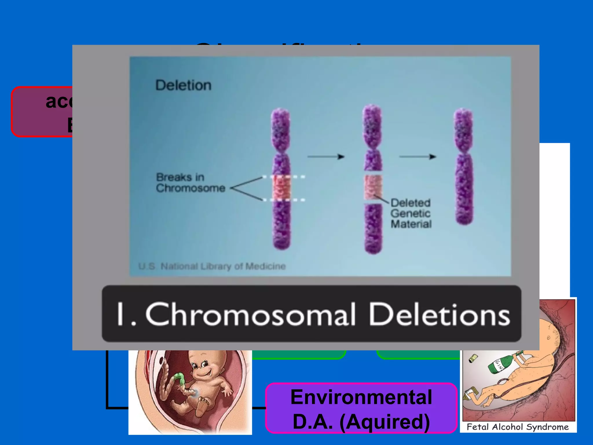 Developmental anomalies copy | PPT