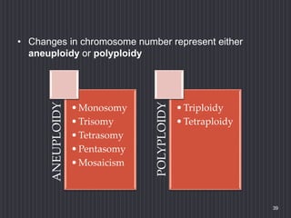Developmental anomalies of craniofacial region | PPTX