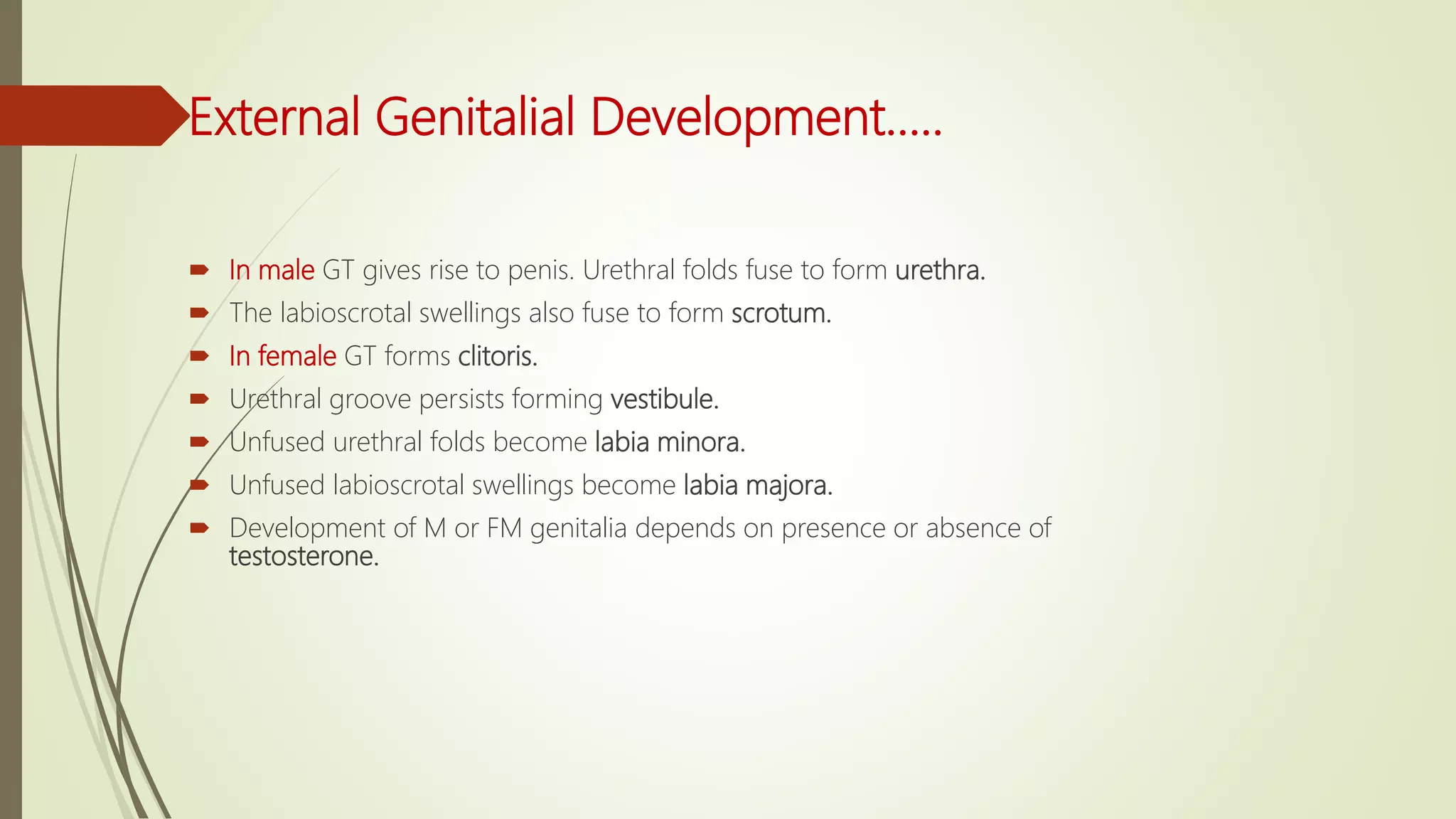 Developmental (Embryological) Aspects of Reproductive System | PPTX