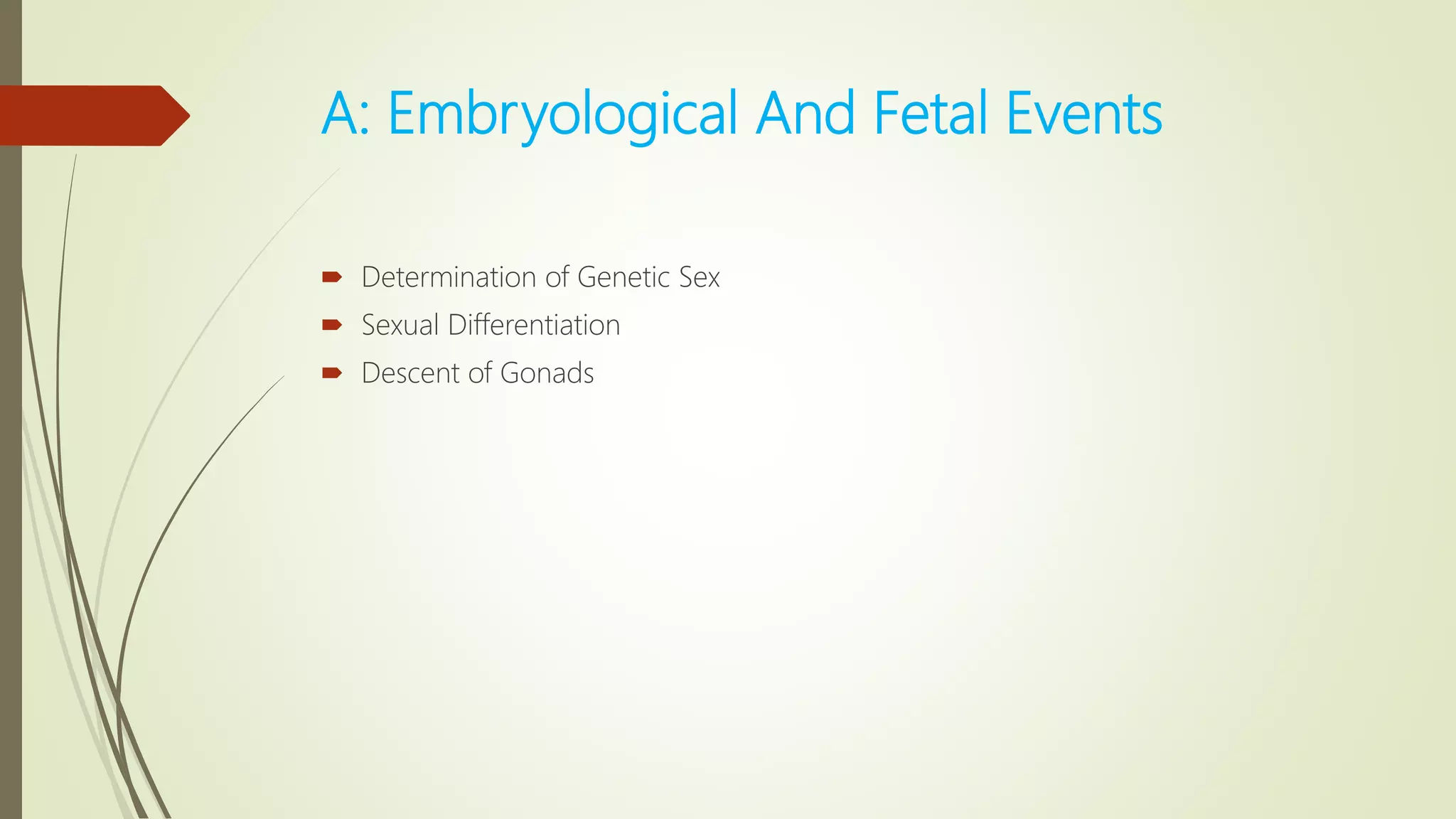 Developmental (Embryological) Aspects of Reproductive System | PPTX
