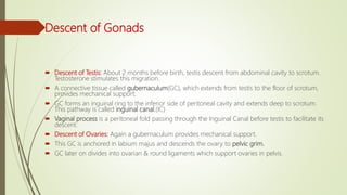 Developmental (Embryological) Aspects of Reproductive System | PPTX