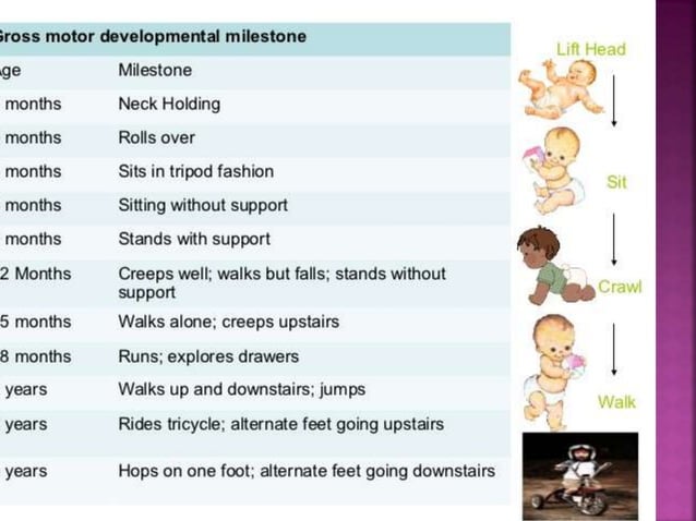 Developmental assessment and screening | PPTX