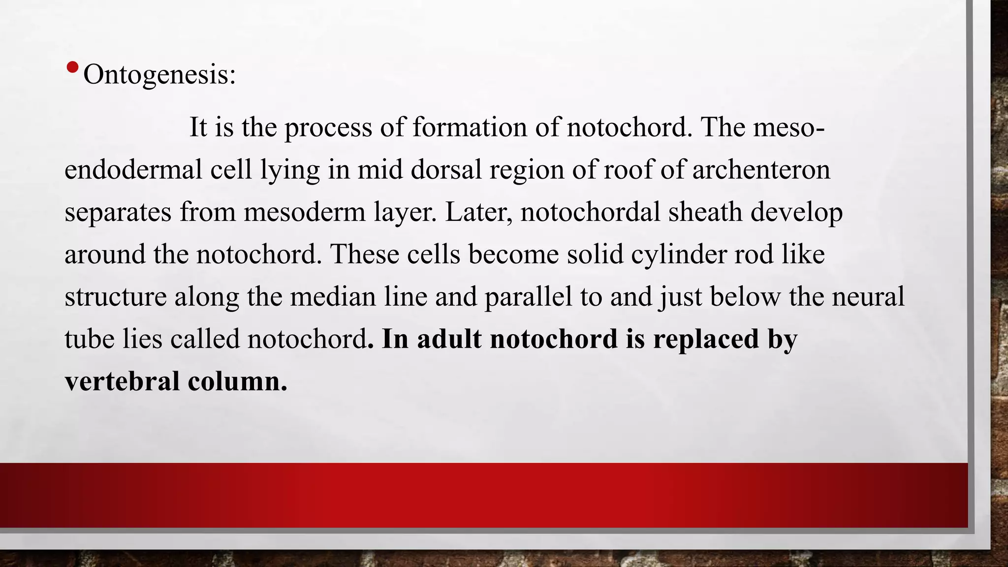 Early Vertebrate development | PPTX